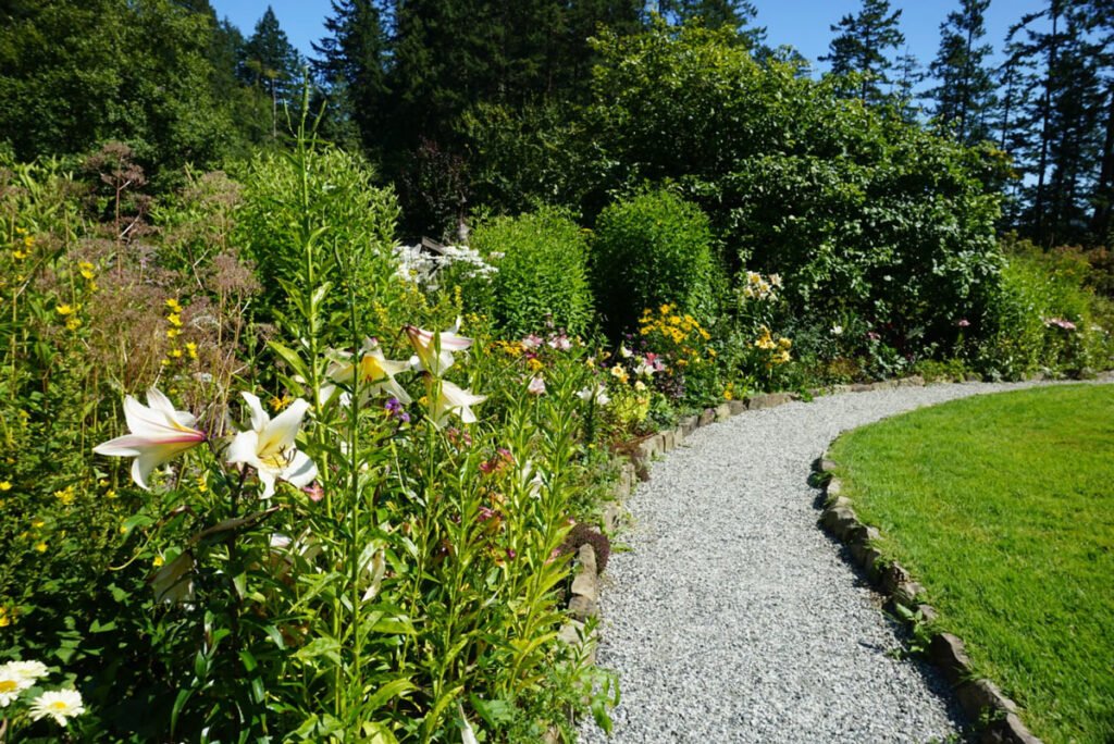 Escape to Nature: Enjoy the Quiet Beauty of Salt Spring Island